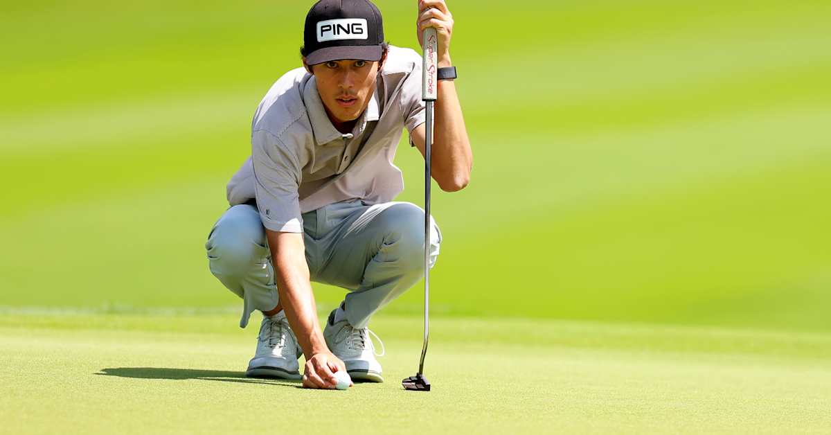 Riley Lewis betting profile: U.S. Open - PGA TOUR
