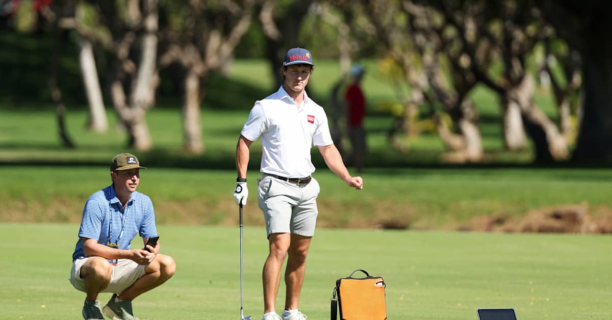 David Ford betting profile: Sony Open in Hawaii - PGA TOUR
