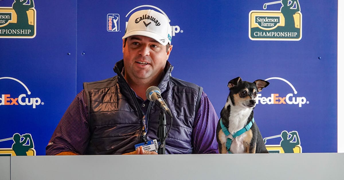 Pet Chihuahua among Jonathan Randolph's 'traveling circus' on TOUR ...