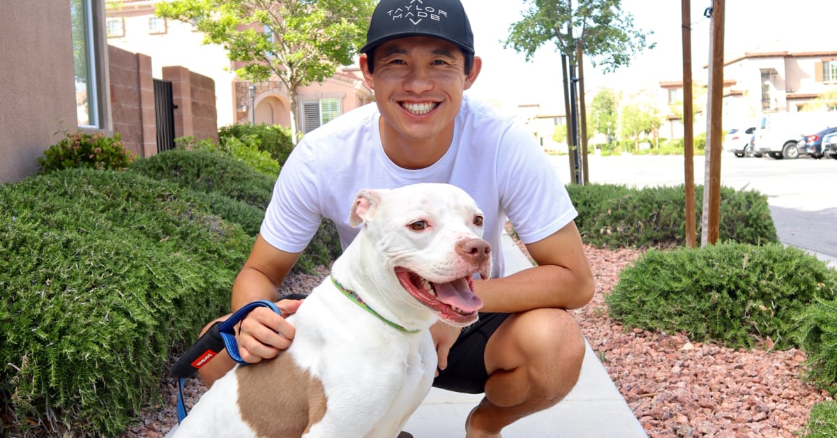 Time at home allowing these TOUR pros to foster dogs - PGA TOUR