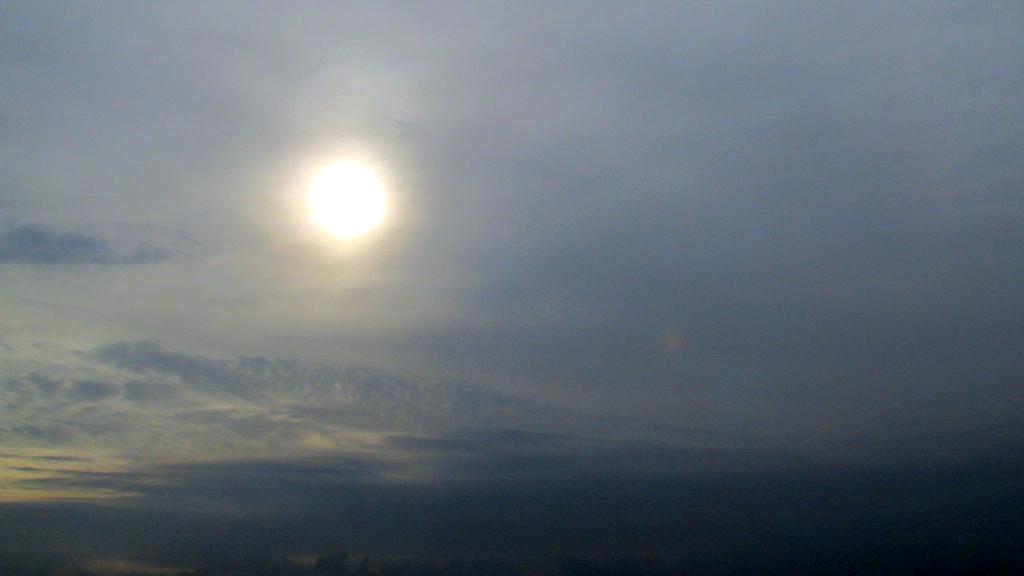 Photo: Afternoon Sun | photosbyarvin