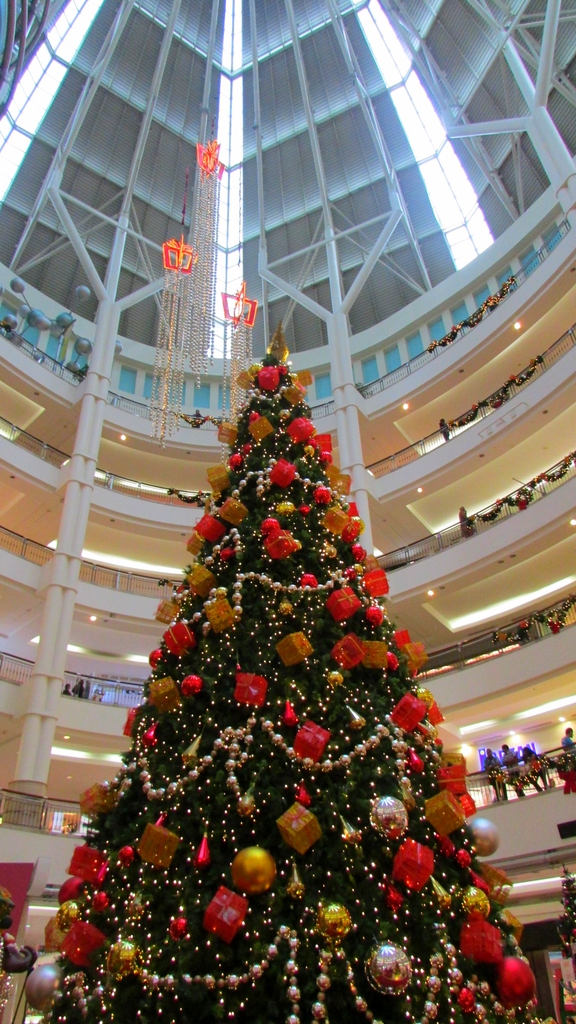 12 Days of Christmas IX | photosbyarvin