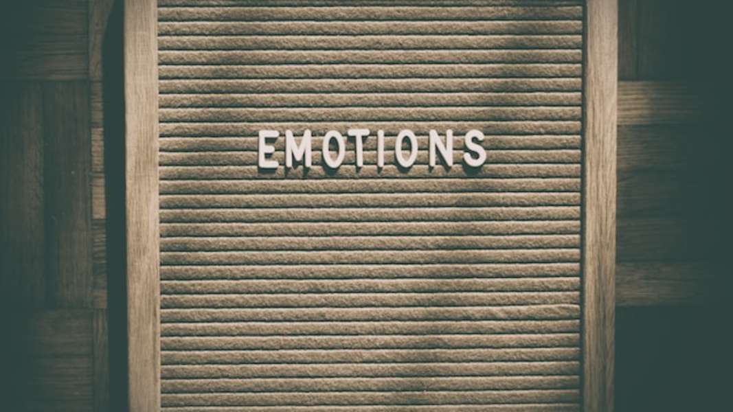 Emotional Intelligence Models And Theories [With Examples]