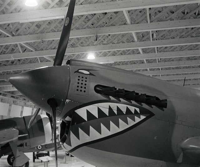 RAF DAA Memory Recollection Test: Free Practice [2025]