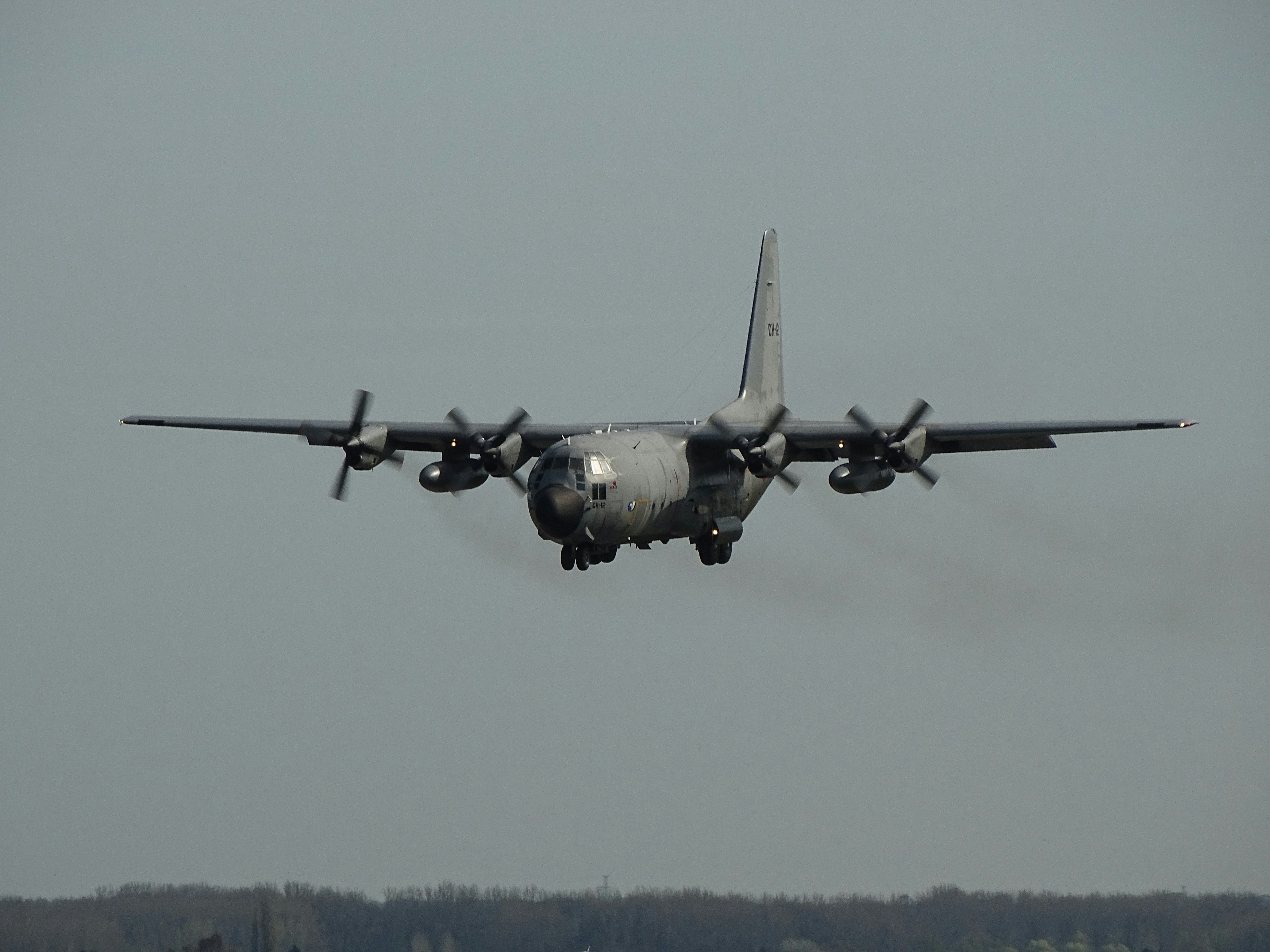 Navigating the Delayed Entry Program