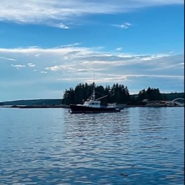 @Jacob_knowles • Pillar