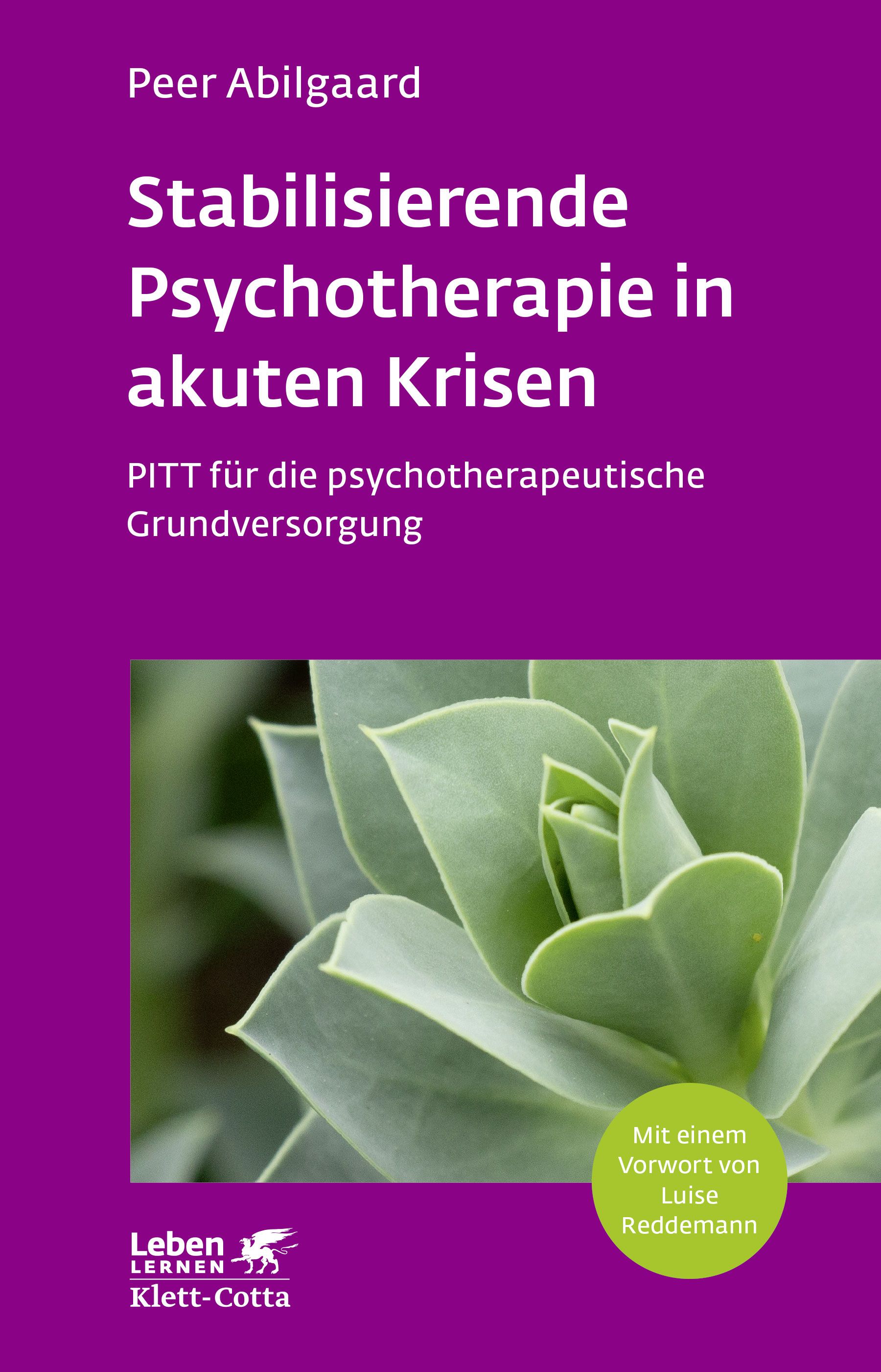 Stabilisierende Psychotherapie in akuten Krisen von Peer Abilgaard ...