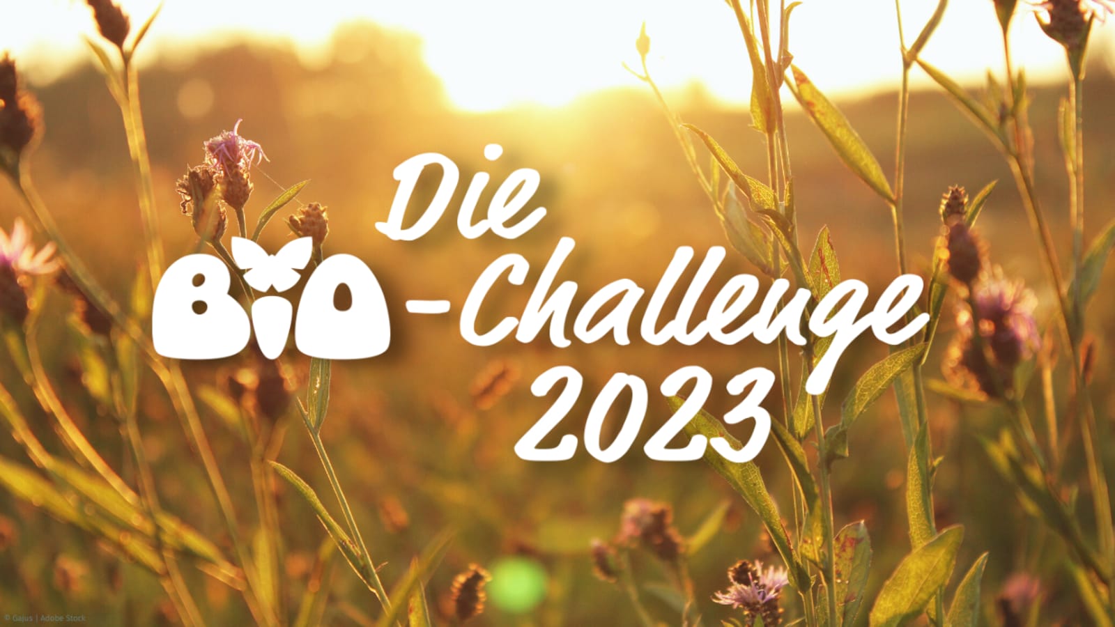 BIO-Challenge 2023