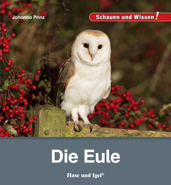 Die Eule | Buch | Hase und Igel Verlag