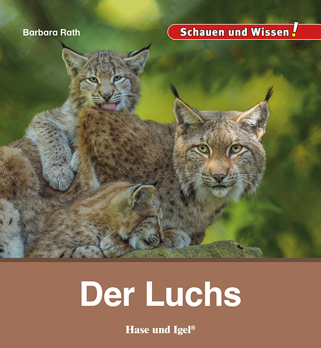 Der Luchs | Buch | Hase und Igel Verlag