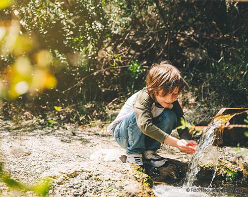 Das Element Wasser: Natur erleben mit allen Sinnen | Offizieller Shop ...