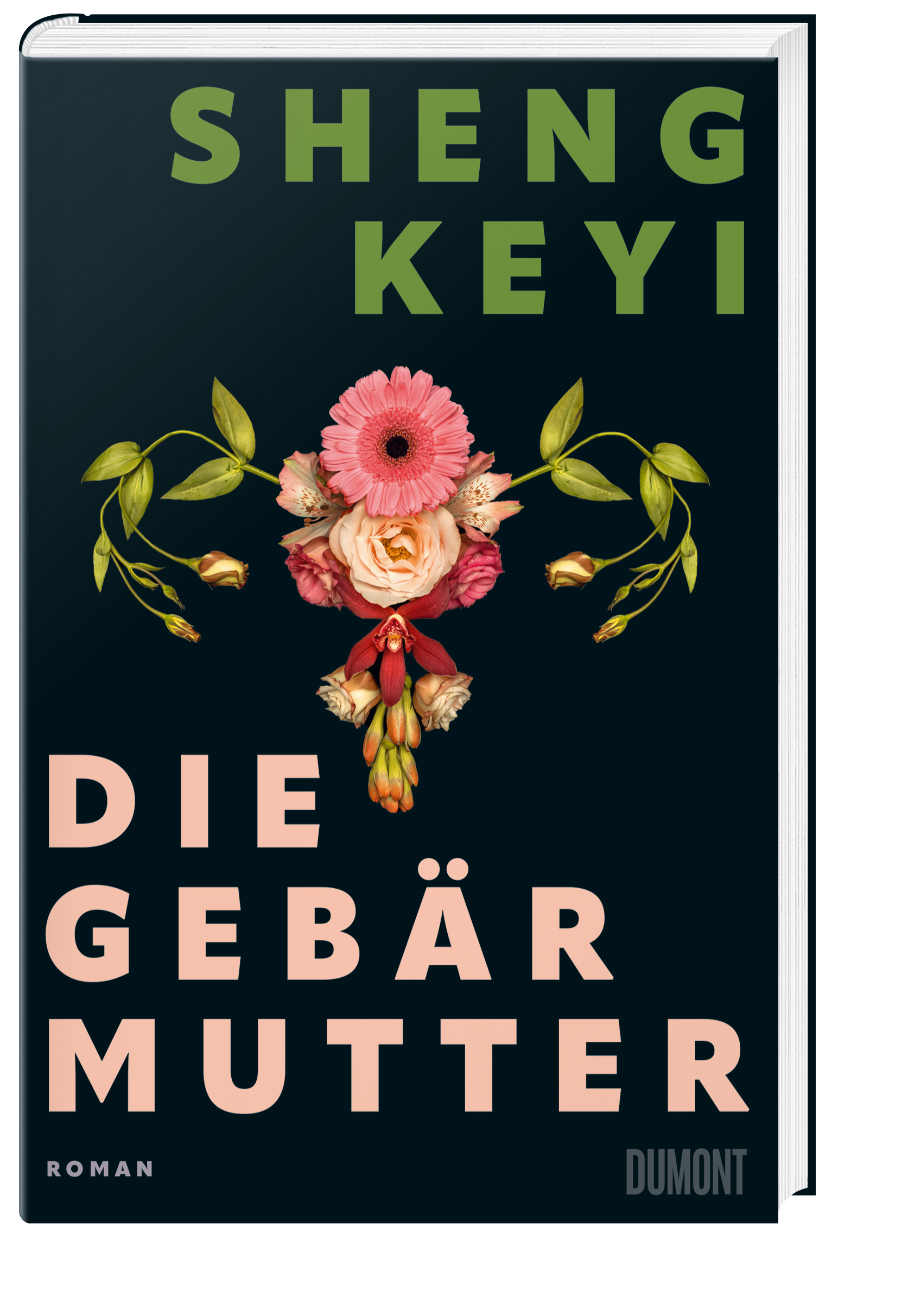 Die Gebärmutter von Sheng Keyi | Hardcover | DuMont Buchverlag