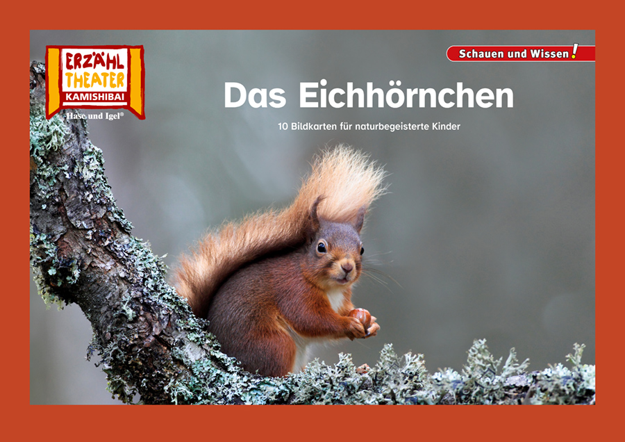 Das Eichhörnchen / Kamishibai Bildkarten | Buch | Hase und Igel Verlag