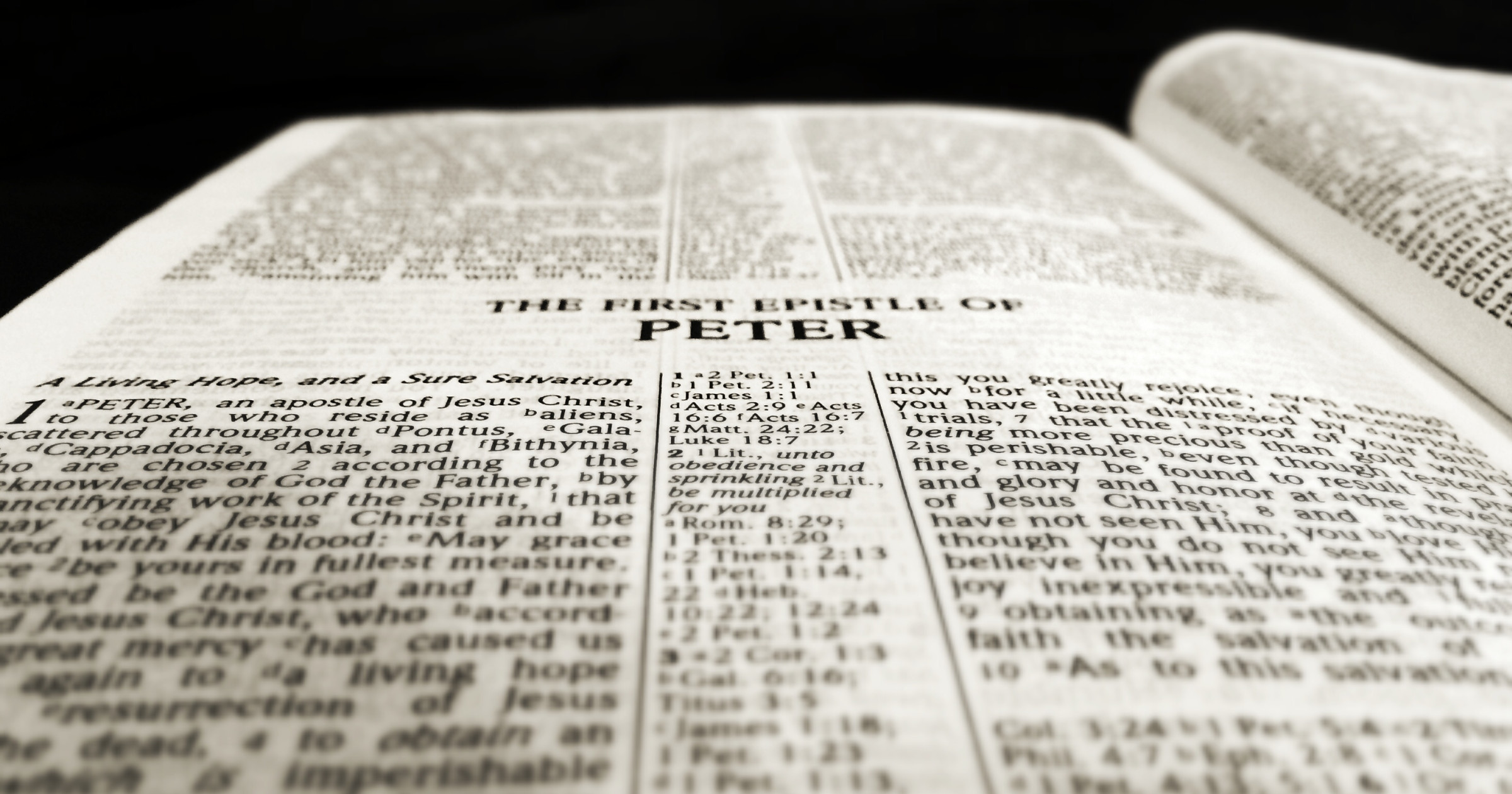 Studying the Bible: Outline - Pine Cove