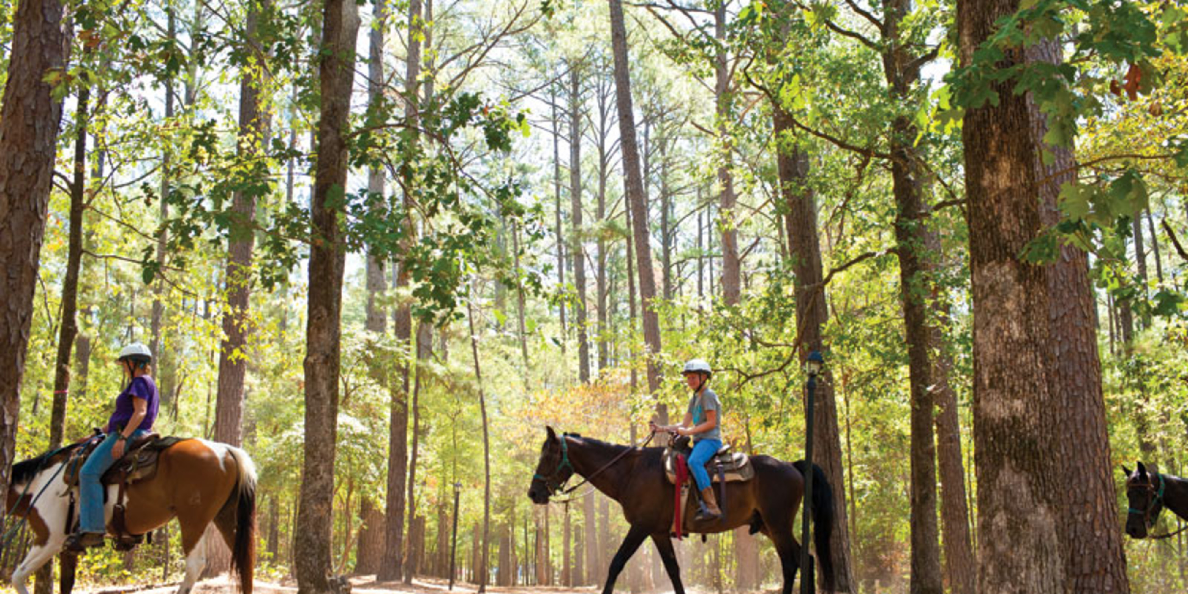 A Horse Ministry - Pine Cove