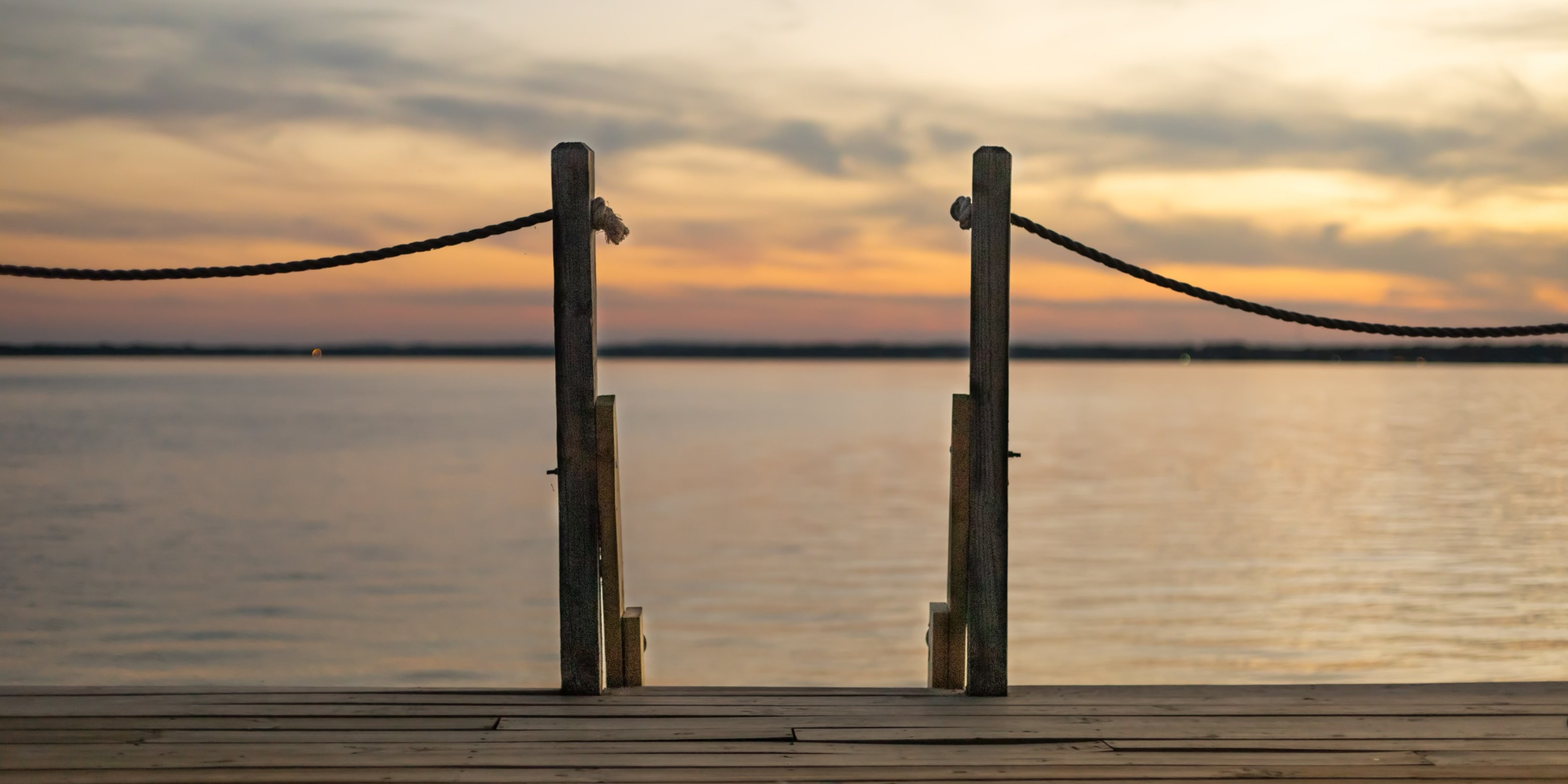 The Shorge: Pine Cove’s Newest Collaboration - Pine Cove