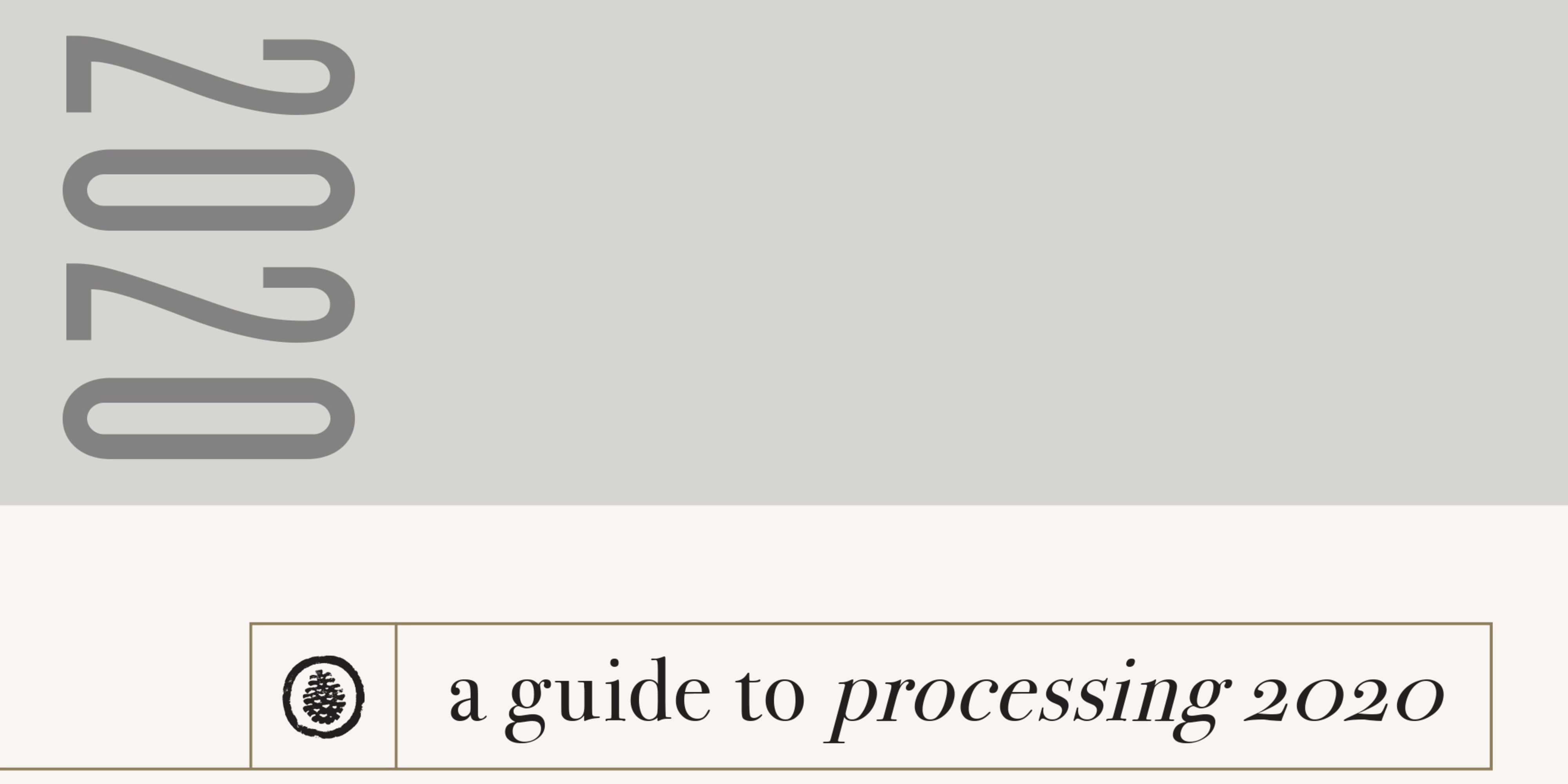 A Guide to Processing 2020 - Pine Cove