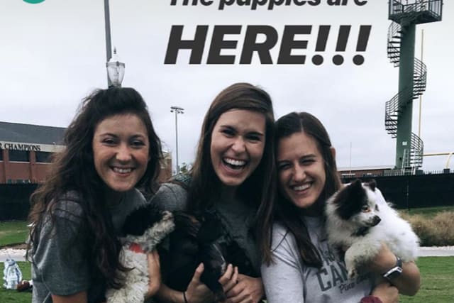 Tailgates with Pine Cove - Pine Cove