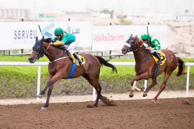 wTVision - Real Time Graphics and Playout Automation