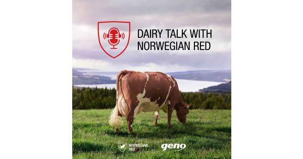 Dairy talk with Norwegian Red - Hosted by Geno SA