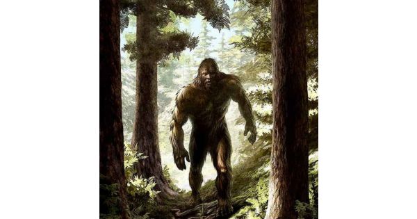 21 UNEXPECTED SCARY CRYPTID SIGHTING HORROR STORIES - Horror Den Of ...