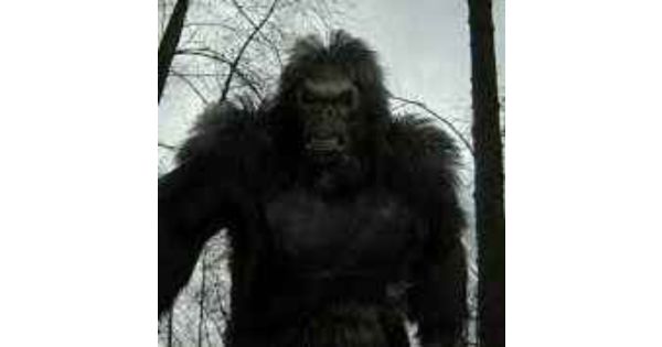 15 SCARY DOGMAN ENCOUNTER HORROR STORIES - Horror Den Of Misfits (True ...