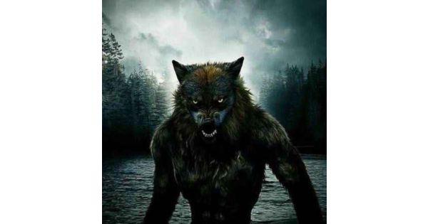 22 SCARY DOGMAN HORROR STORIES - Horror Den Of Misfits (True Horror ...