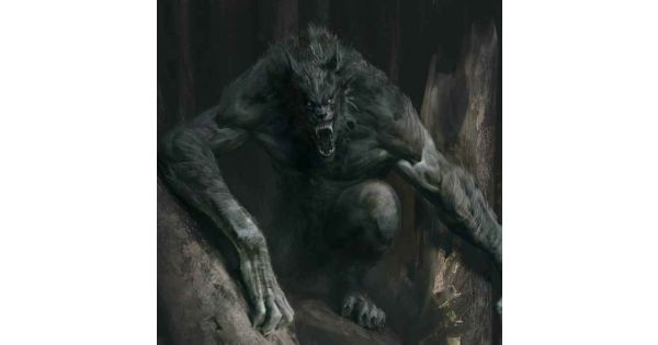 13 SCARY CRYPTID ENCOUNTER HORROR STORIES - Horror Den Of Misfits (True ...