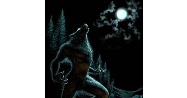 27 SCARY CRYPTID SIGHTING HORROR STORIES - Horror Den Of Misfits | Acast