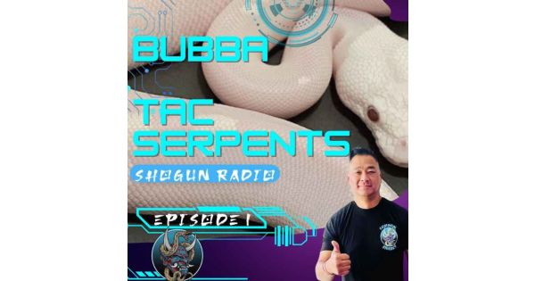 Bubba The Acorn Collection - Shogun Radio | Acast