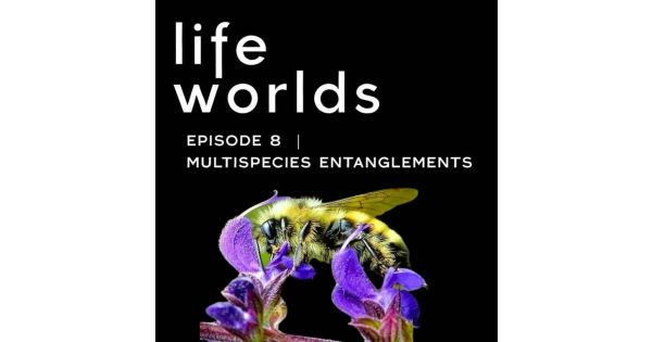 8. Multi-species Entanglements, or, How We Become Rapt in Other Lives ...