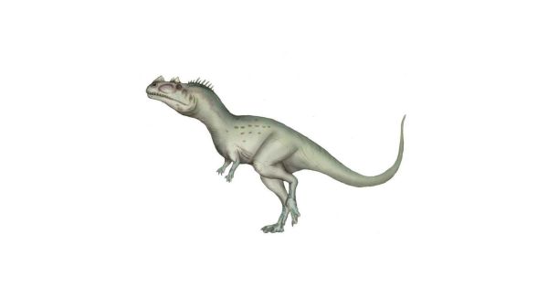 Genyodectes, the Jaw Biter - Paleo Bites | Acast