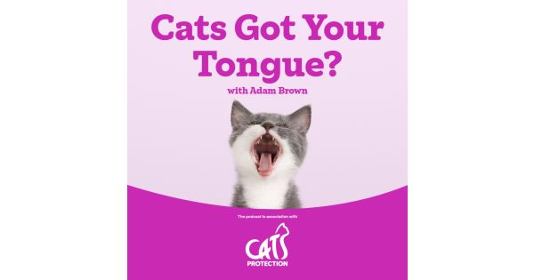 Cats Got Your Tongue? - Hosted by Cats Protection