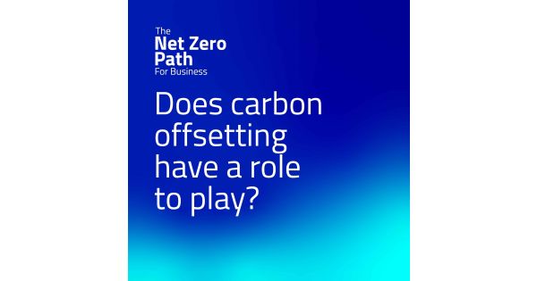 6. Does carbon offsetting have a role to play? - The Net Zero Path For ...
