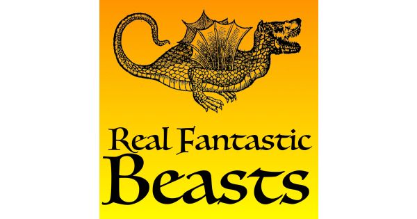 Marvels and Tranimals - Real Fantastic Beasts | Acast