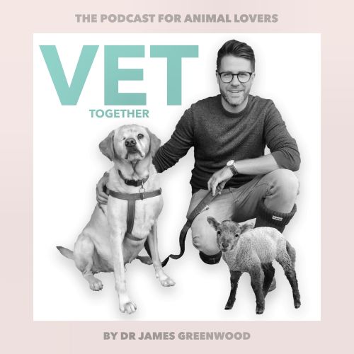 Vet Together - Hosted by James Greenwood
