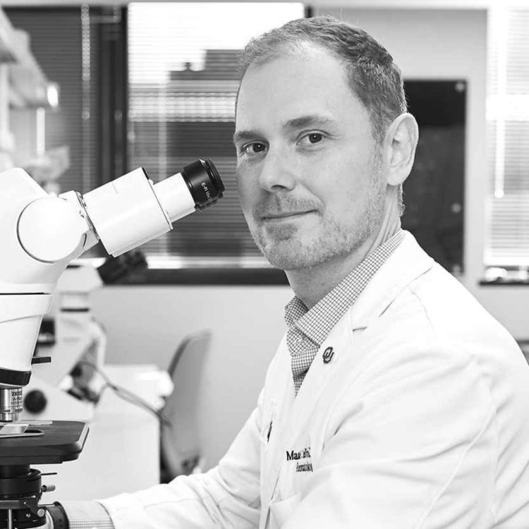 The role of the gut microbiome in osteoarthritis with Dr Matlock ...