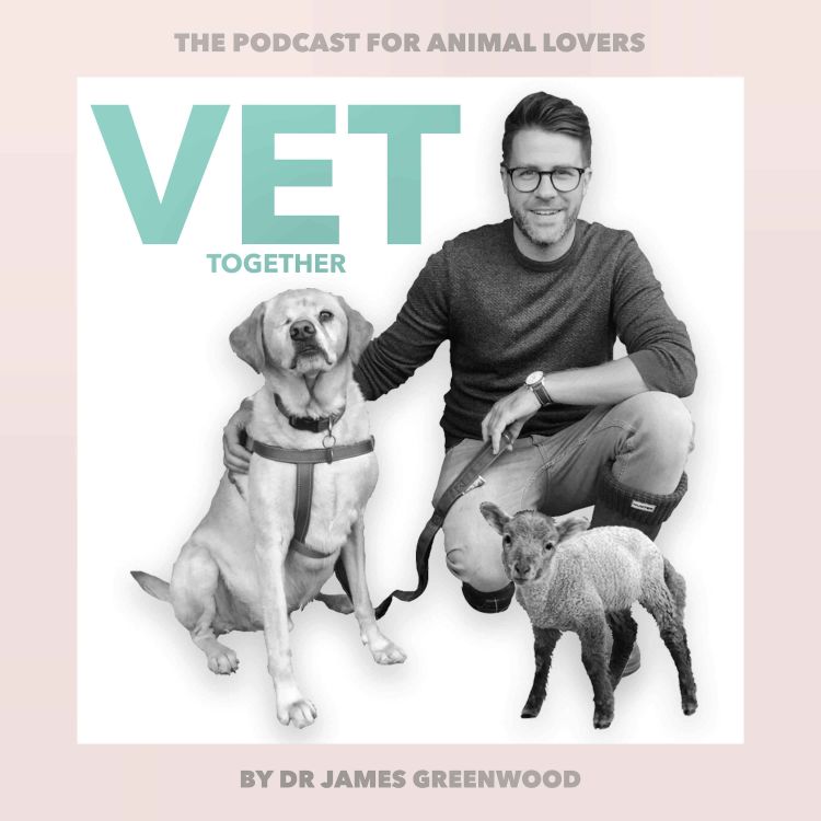 Pet Wellbeing with Rosie Bescoby - Vet Together | Acast