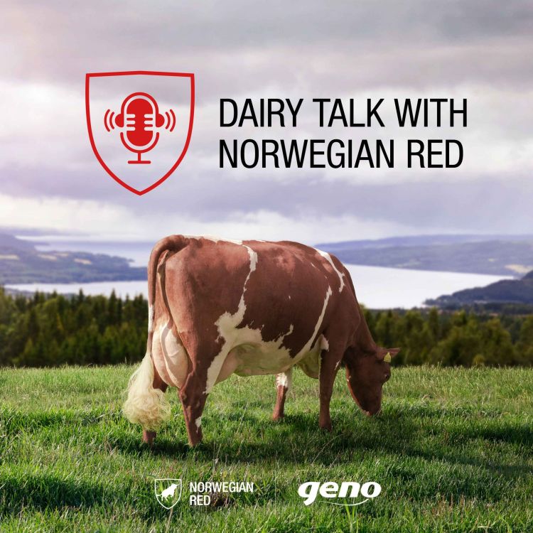 Geno partners with Hybrid Genetics in Germany and Austria - Dairy talk ...