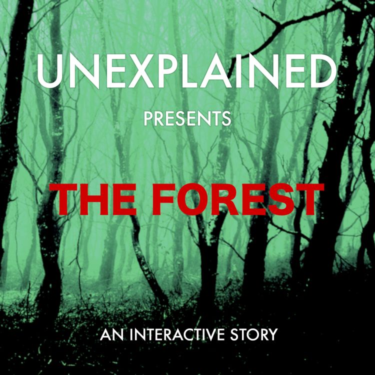 The Forest: Episode 03 - The Forest | Acast