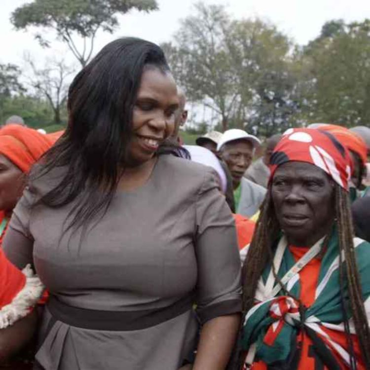 IDFA 2023 - Our Land, Our Freedom - Delightful Docs | Acast