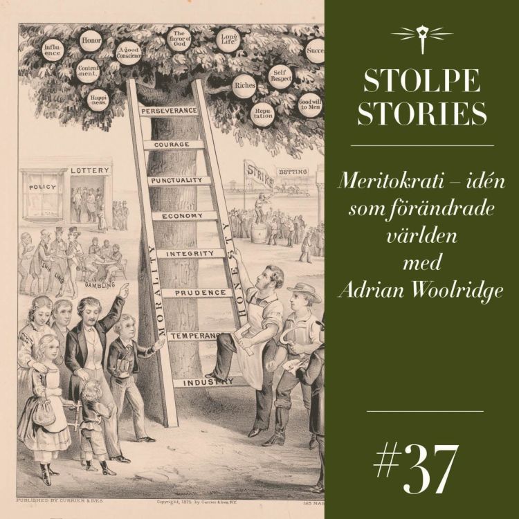 37. Meritokrati – idén som förändrade världen med Adrian Woolridge ...