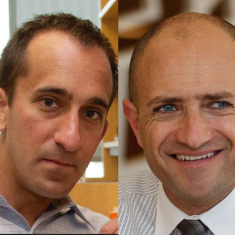 Microbiome Roundtable: Fischbach and Mazmanian - Forum | Acast