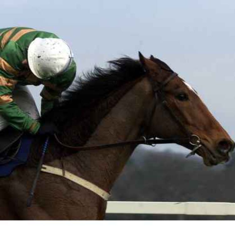 The sad passing of famous Limerick racehorse Istabraq - Live95 Limerick ...