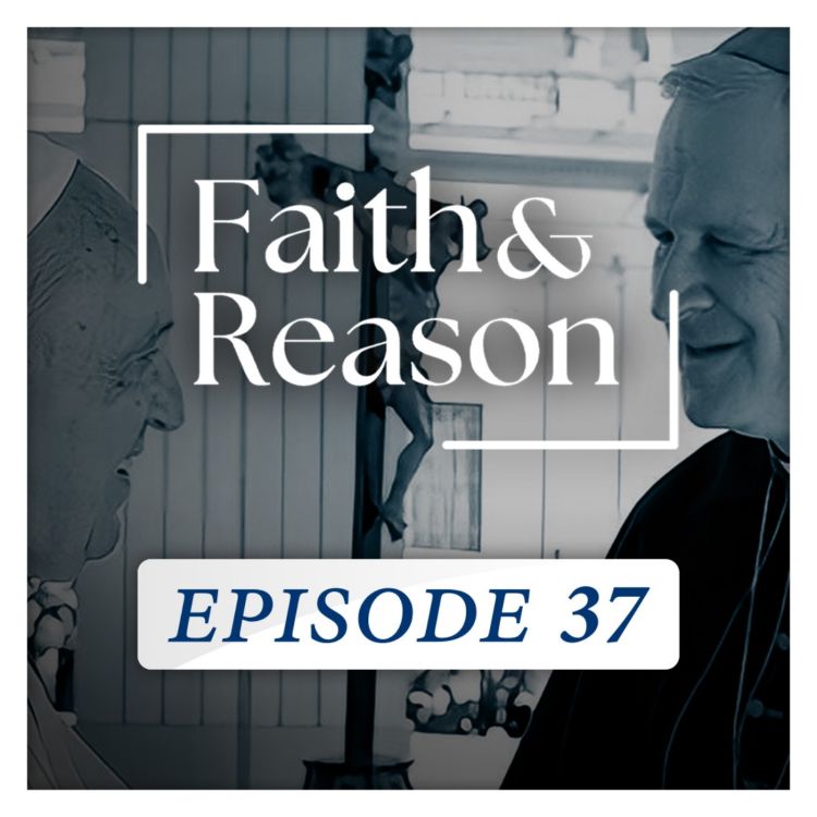 Victory, Suffering, and Surrender: War within Catholic Church Escalates ...
