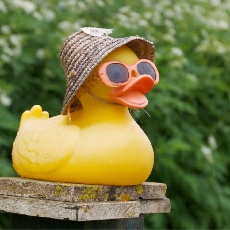 LAW OF ATTRACTION - How to start manifesting with the rubber duck ...