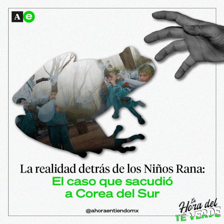 La realidad detrás de los Niños Rana: El caso que sacudió a Corea del ...