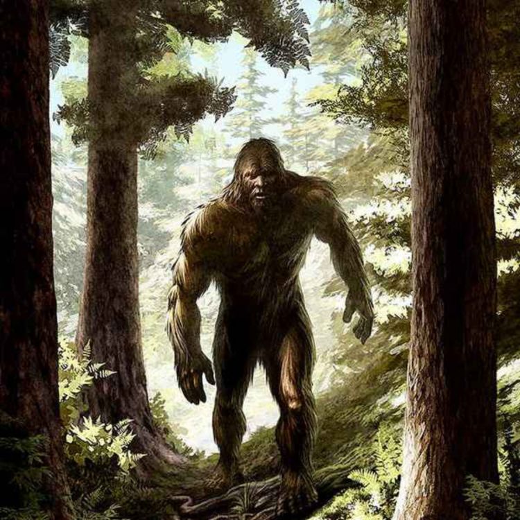 21 UNEXPECTED SCARY CRYPTID SIGHTING HORROR STORIES - Horror Den Of ...