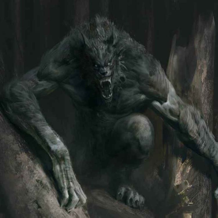 13 SCARY CRYPTID ENCOUNTER HORROR STORIES - Horror Den Of Misfits (True ...