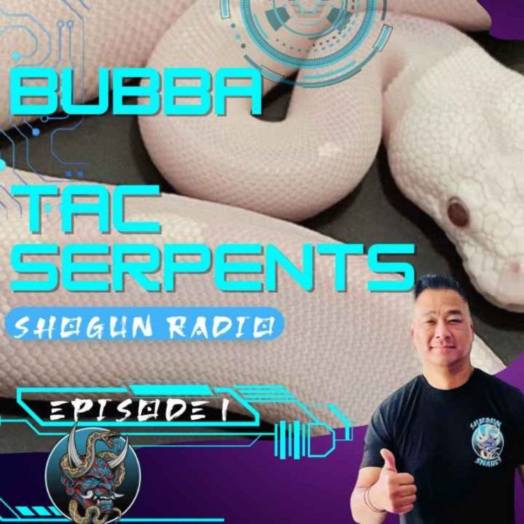 Bubba The Acorn Collection - Shogun Radio | Acast